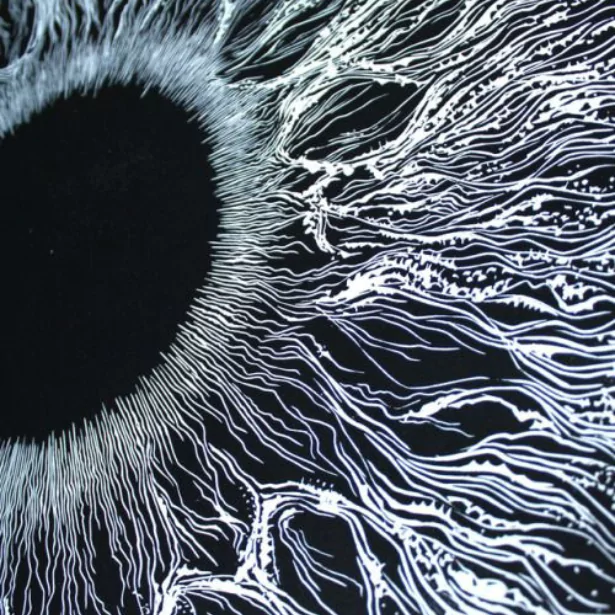 How Australian Medical Angels is helping doctors invest in the medtech ...